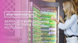 Вертикальная ферма ПРИМА сама выращивает микрозелень для ресторанов