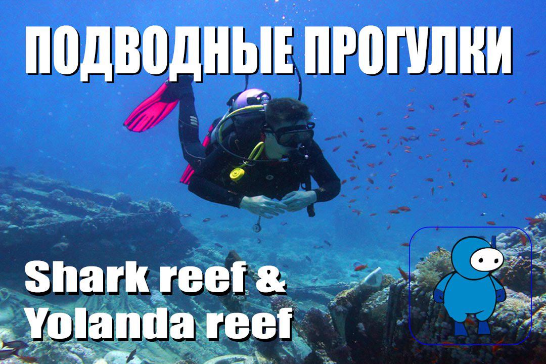 Один день в "офисе" / One my office day