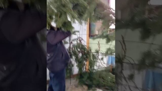 устанавливаем вертеп.mp4