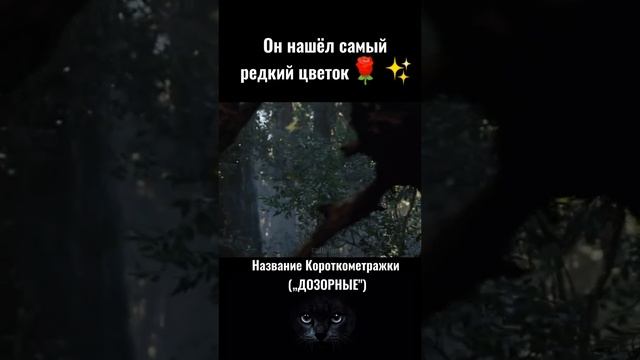 кино фильм