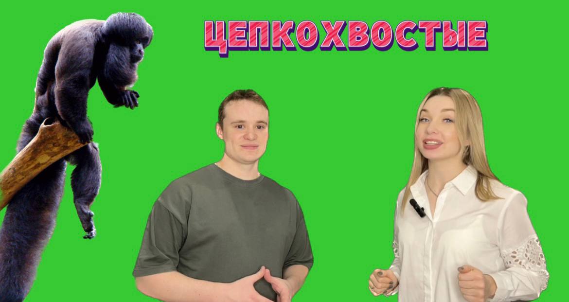Животный мир. Семейство цепкохвостые обезьяны.