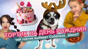 ТОРТИК НА ДЕНЬ РОЖДЕНИЯ. Крутой Челлендж с тортом. Какой торт выберет Собачка Шаня на Happy birthday