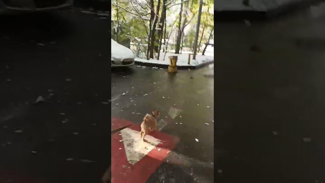 погодная аномалия