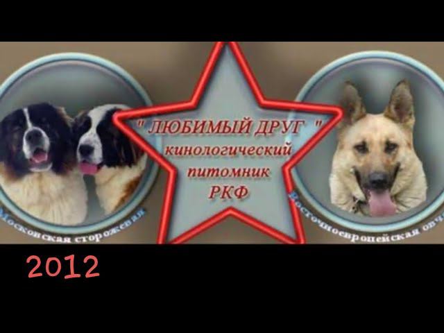 Питомник "Любимый друг" 2012