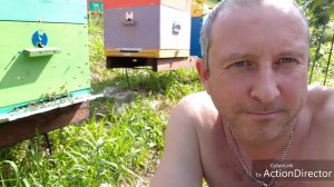 Главный взяток в Красноярске, после 10-и дневного задымления от лесных пожаров