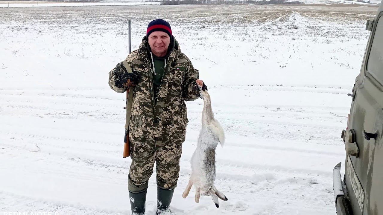 Охота на зайцев (Реабилитация)
