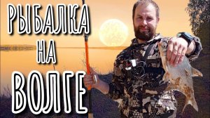 ЛЕЩ,ПЛОТВА ,ГУСТЕРА,ЧЕХОНЬ на ВОЛГЕ. Рыбалка на фидер.