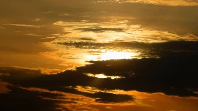 Жизнь прекрасна во всех проявлениях