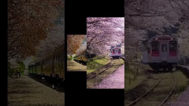 Необычные электрички