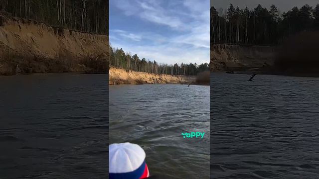 Как привлечь щуку #рыбалка
