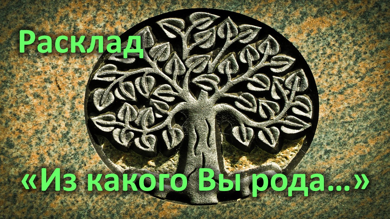 ОБЩИЙ РАСКЛАД «ИЗ КАКОГО ВЫ РОДА»