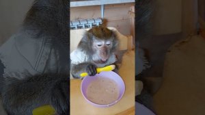 Наше меню:" болтушка фирменная"☝️😉🐒 вкусняшки в обезьяньем доме😋👍