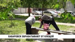 Хабаровск продолжают обрабатывать от клещей