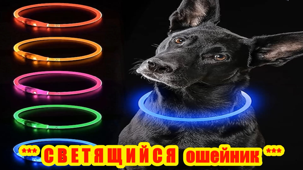 !!! вашему ПИТОМЦУ №1 !!!