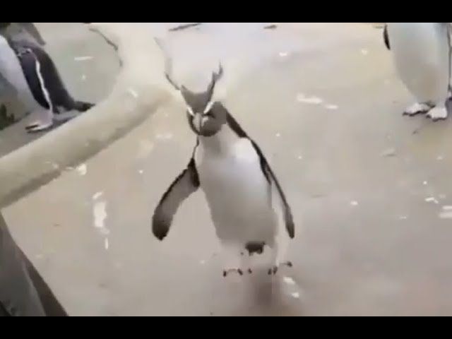 Что бы ты не делал — ты делаешь себя.