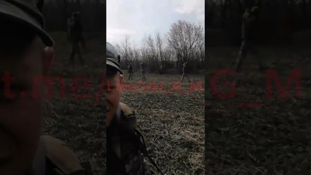 Очередная партия пленных всу.