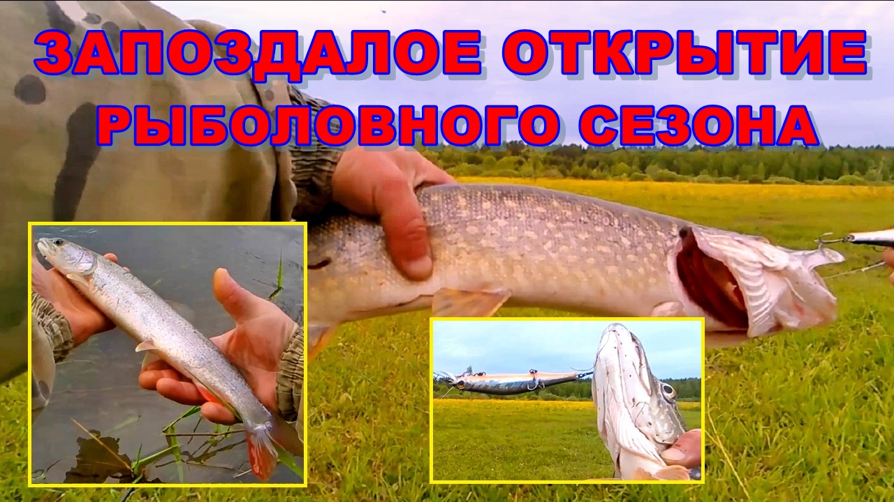 Рыбалка на щуку. Первая в этом году рыбка.