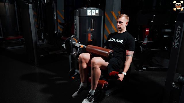 Сгибание голени в тренажере / сгибание ног в тренажере