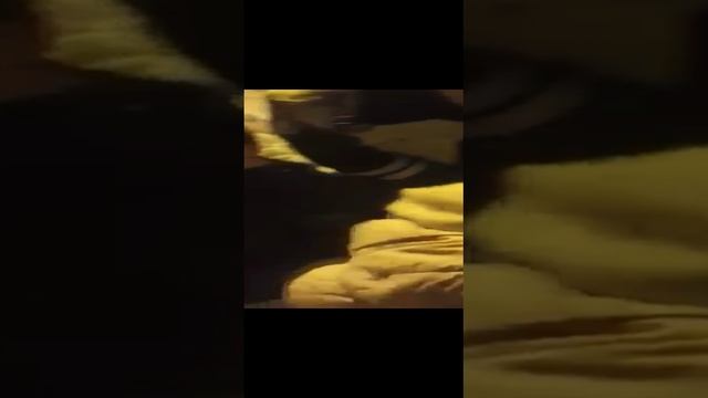 Драка с ДПС