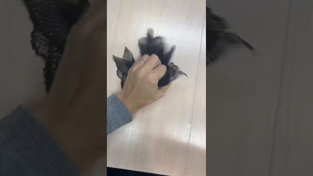 Вот бы так в жизни))