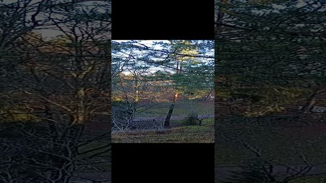 Выборг  парк Монрепо