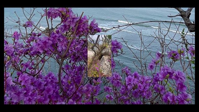 Снова весна