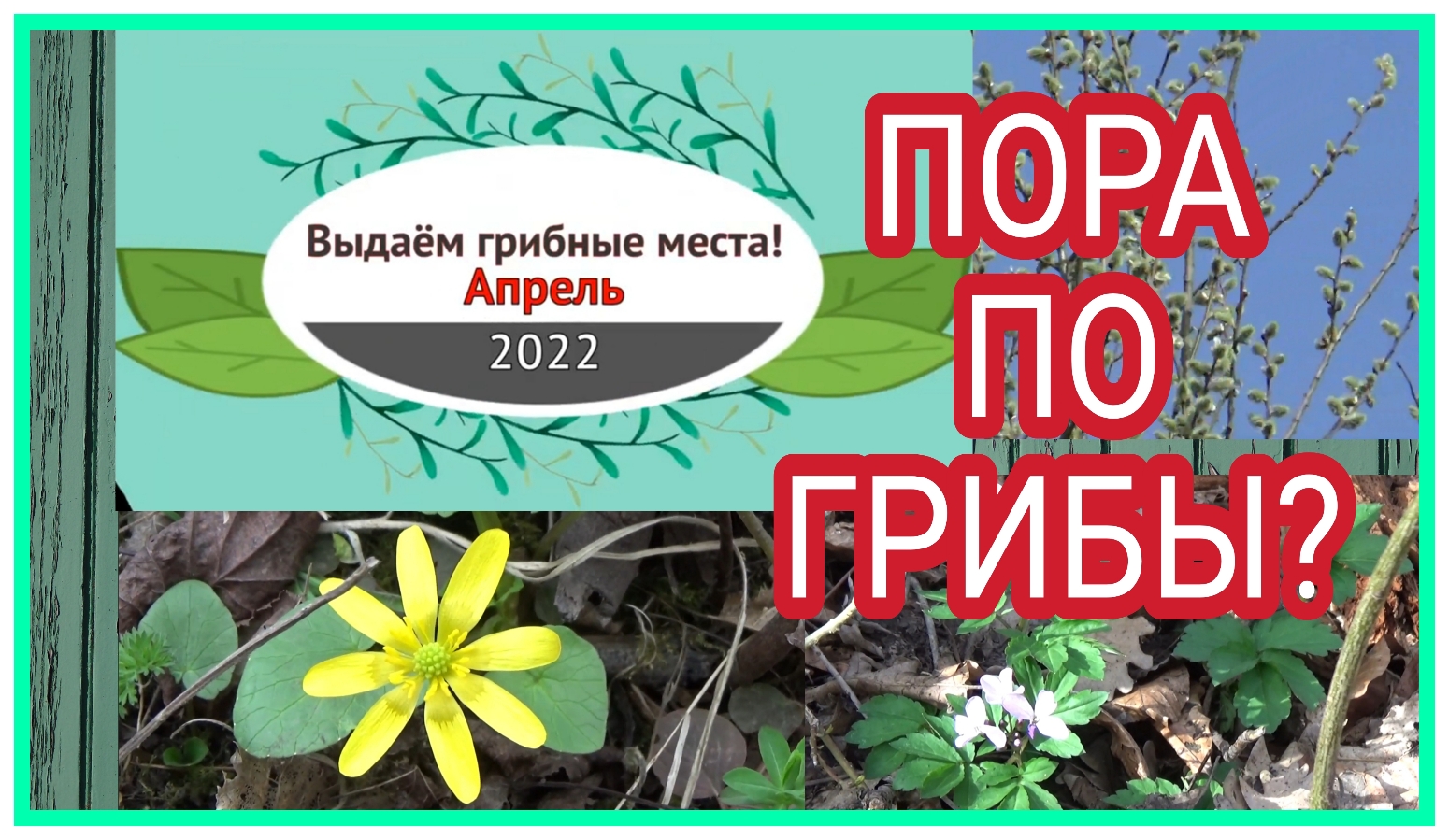 Пора по ГРИБЫ??? Выдаём грибные места! Весенний лес на Кубани. Апрель 2022.