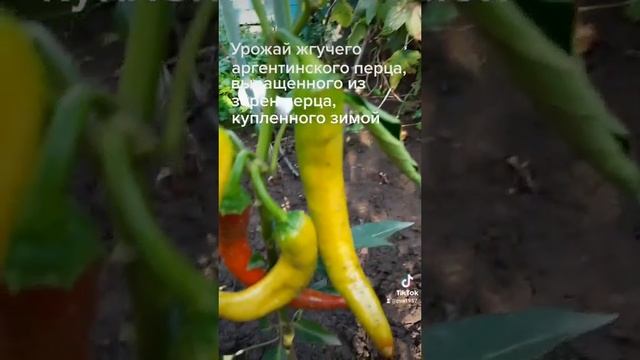 510c47782bb558e41f3d076d71d0470f.mp4
