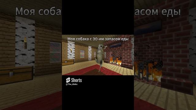 Ихнильвихт! #the_aleks #minecraft #майнкрафт #билдхаки #ихвильнихт #shorts