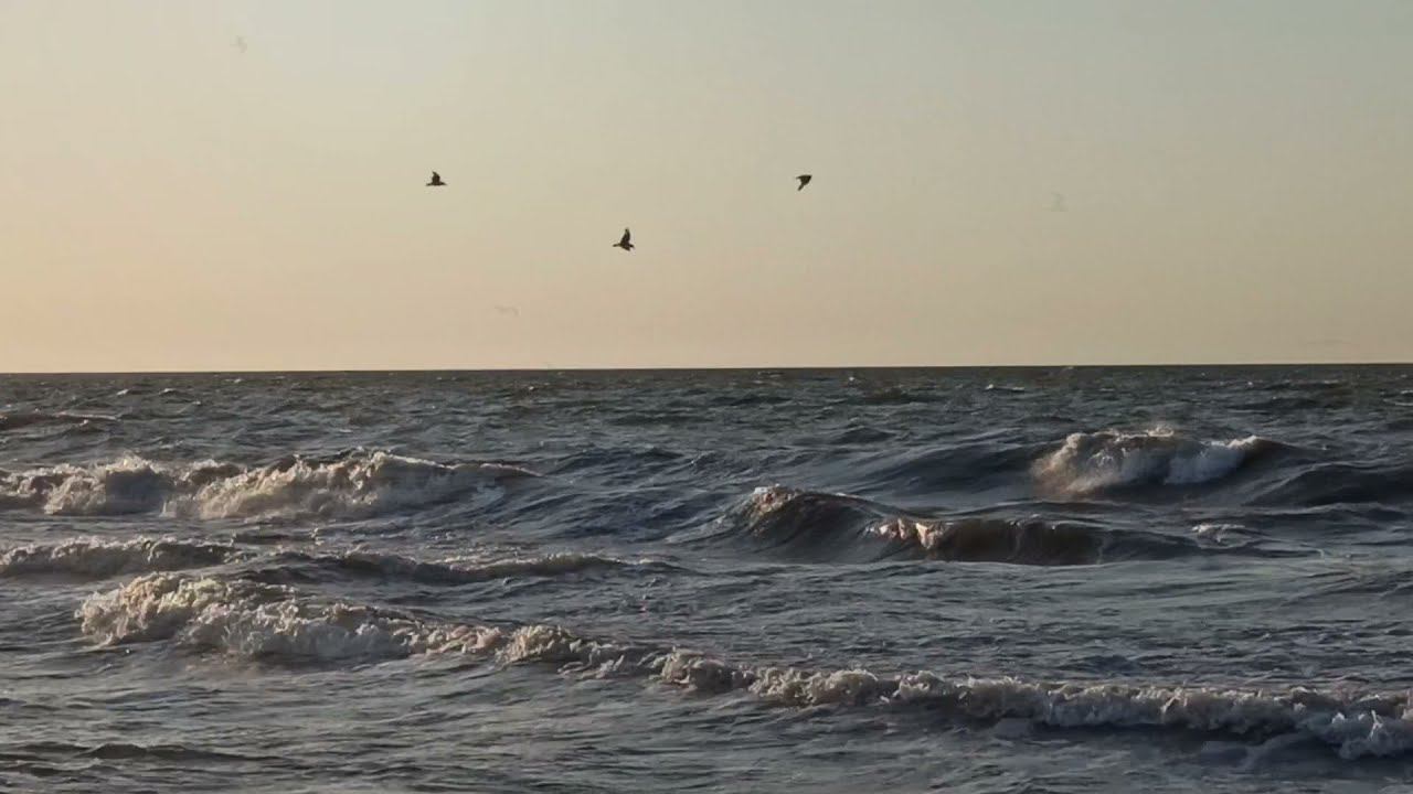 Море, чайки, закат. 17 июля 2021г. Станица Голубицкая