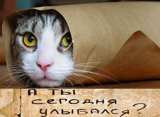 приколы