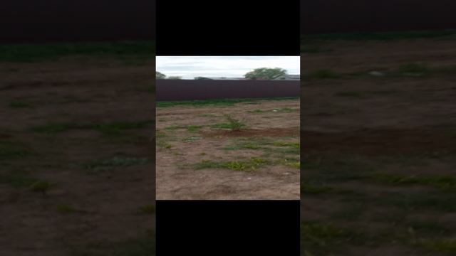 Наш сад