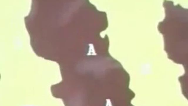 Кристаллизация сплавов (240p).mp4