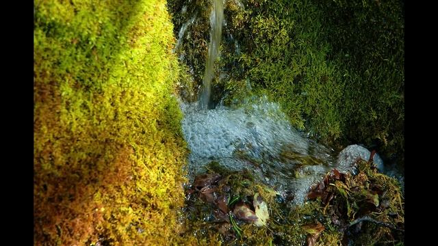 Верея Водопады