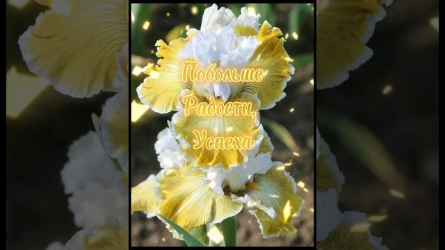 Марина с днём рождения