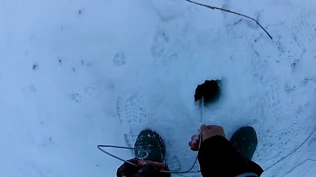 Щука на крюк. Залив Гуща