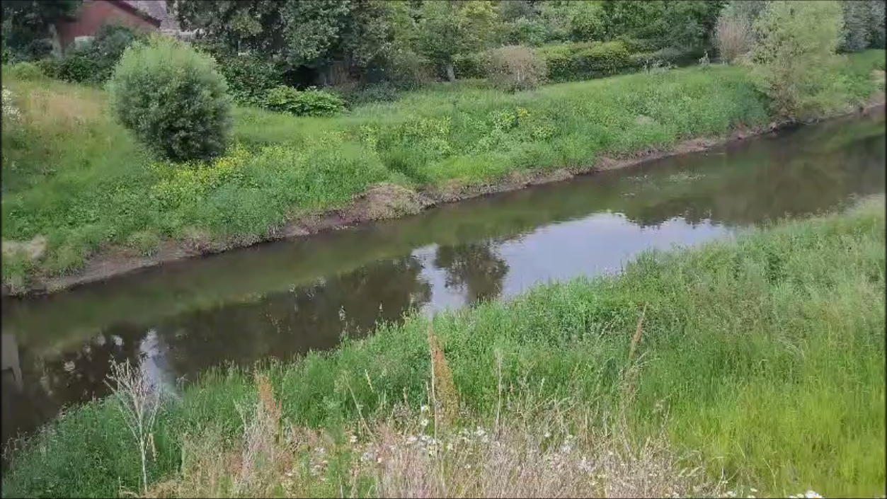 солнечный июнь