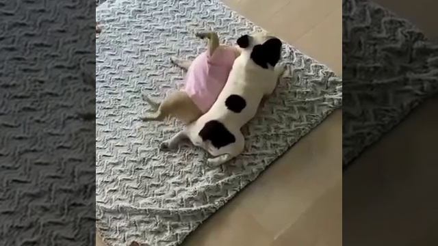 юмор