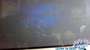 Busted PS2 has a Sparta Extended Remix