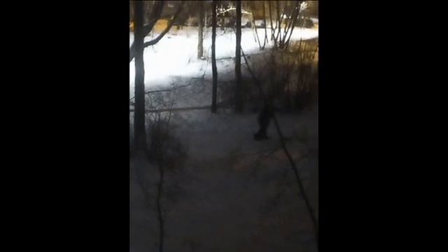 Ура, все прививки сделаны!!! Идем на улицу...