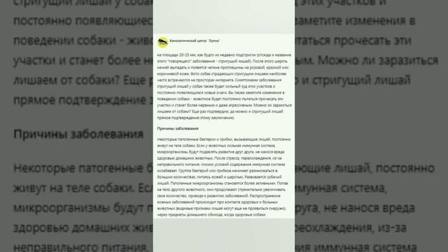 Стригущий лишай перевернет ваш взгляд на эту болезнь