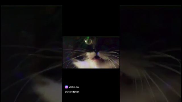 Как вам такой дискач? 🕺