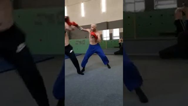 дзю-дзюцу (джиу-джицу)