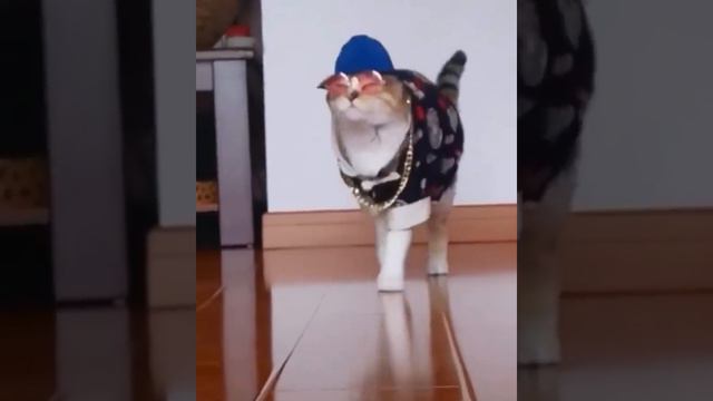 Настоящая туса