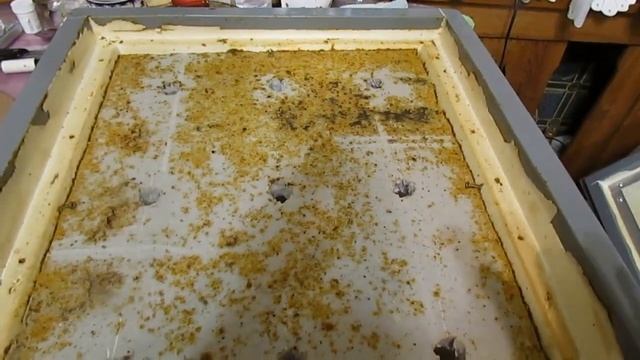 пчелы показали, что им не нужно летом, открытое сетчатое дно в жаркую погоду - часть 7