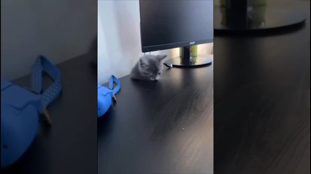 Супер смешная озвучка!