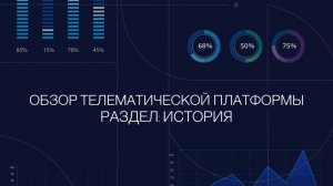 Телематическая платформа SKYLON: обзор платформы, раздел "История"