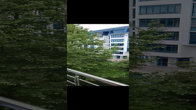 Вид из отеля Добрая мама