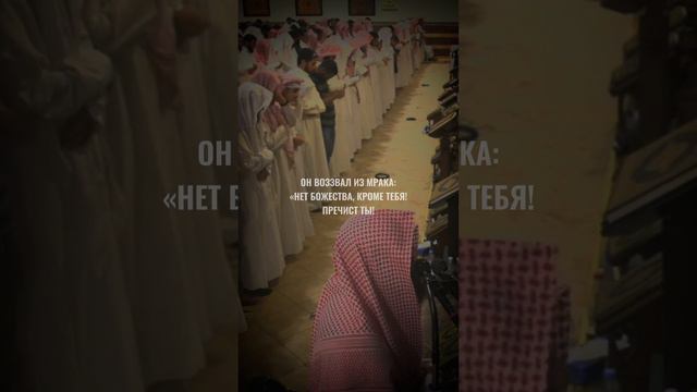 МУХАММАД АЛЬ-ЛЮХАЙДАН #islam #quran