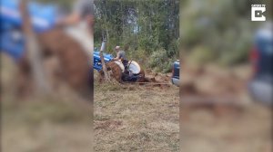Опрокинул трактор